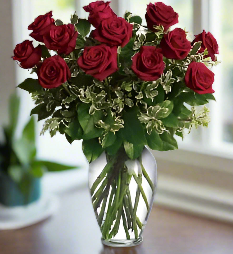Dozen roses delivered in Winnipeg - Valley Florist